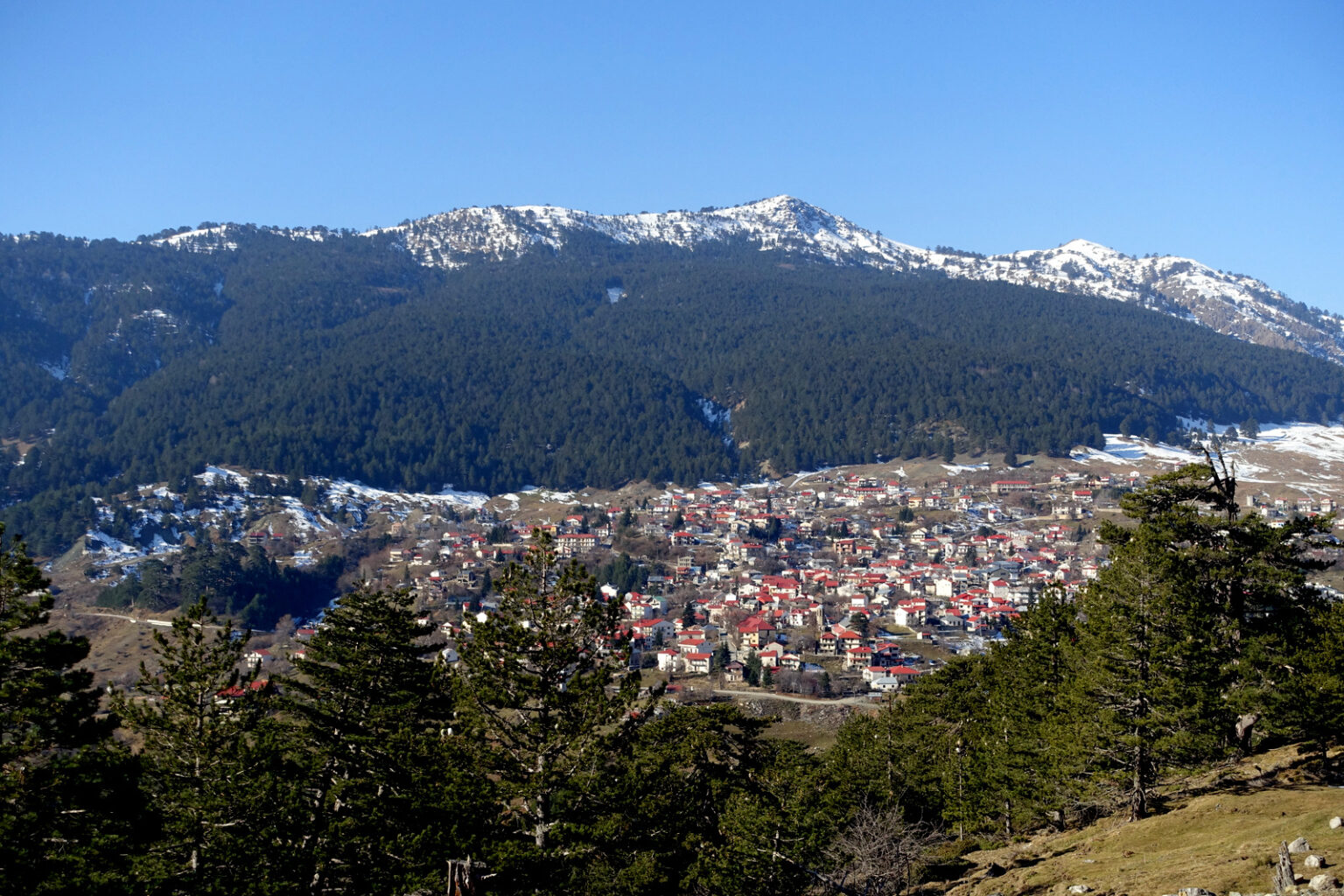 Σαμαρίνα Γρεβενών - ellinismos.gr | Κόμβος Διασύνδεσης του Ελληνισμού